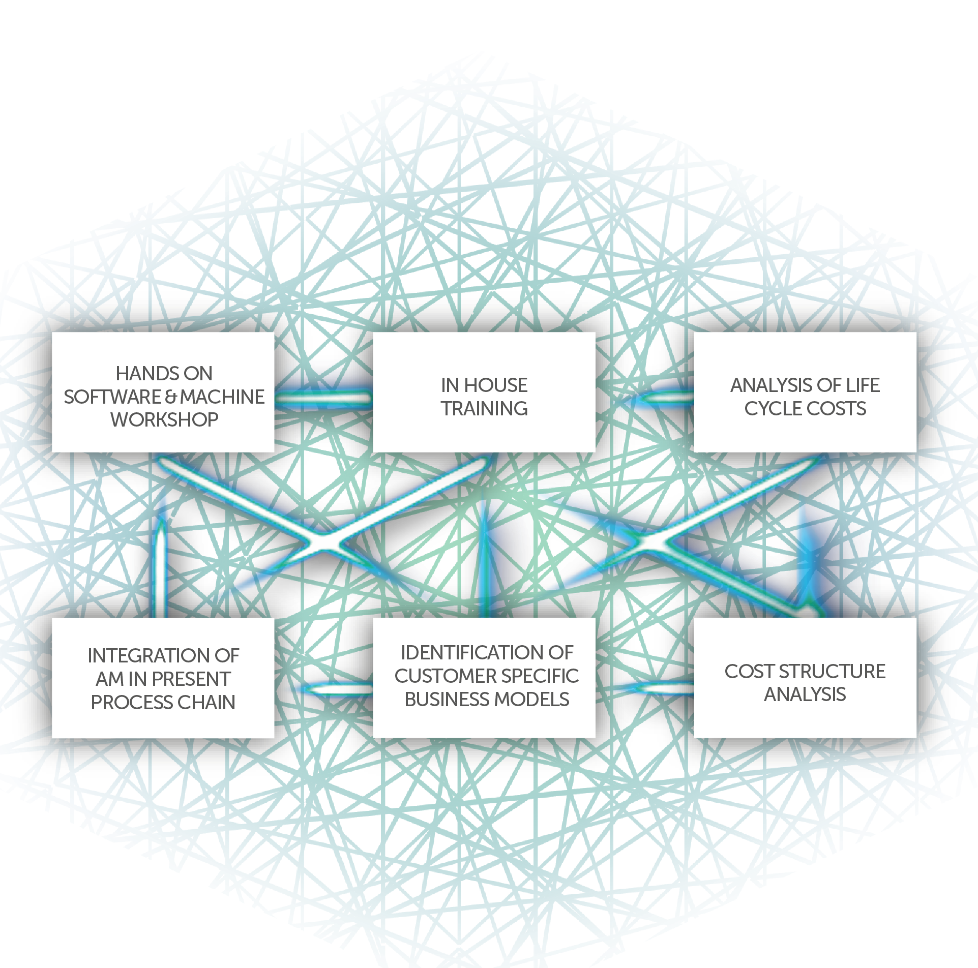Dau Life Cycle Cost Estimate